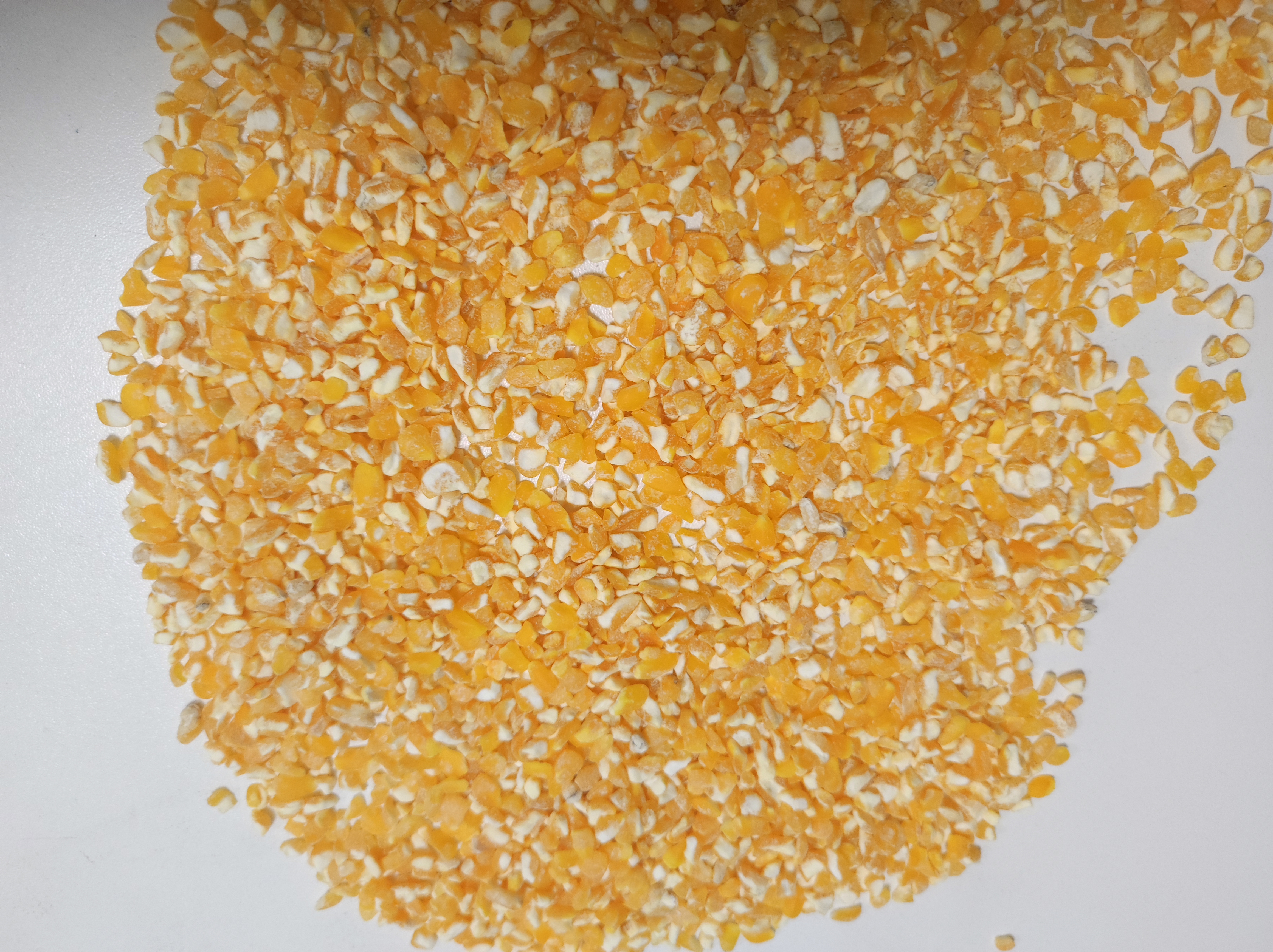 Corn Flaking Grits | Torg